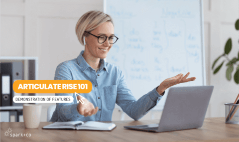 Articulate Rise 360 - Custom e-Learning & Training - Spark + Co.